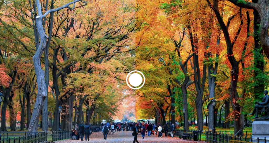 Oakley Prizm Ruby Lens Review | Oakley Forum