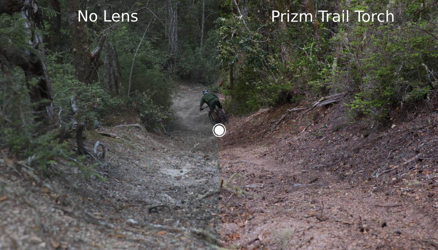 Oakley Prizm Trail vs. Prizm Road Lenses | Oakley Forum