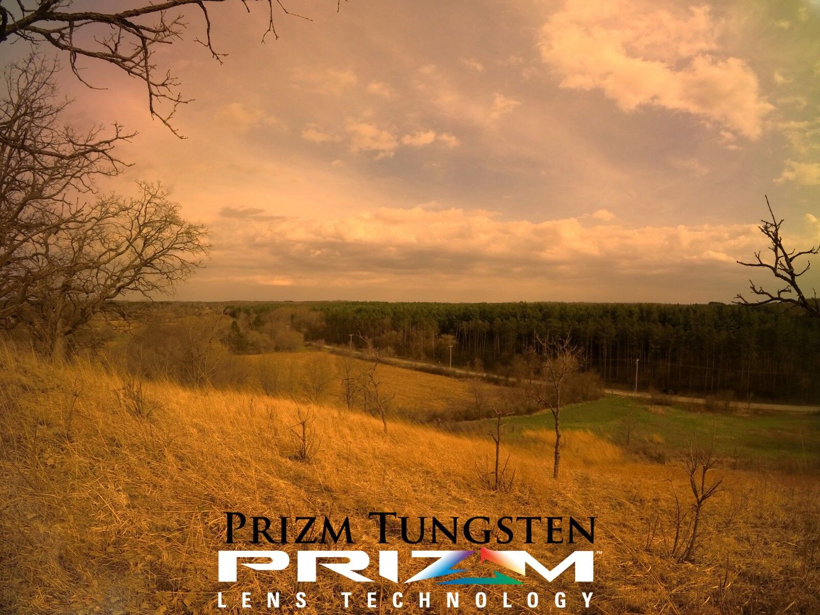 Oakley PRIZM Tungsten Polarized Lens | Review | Oakley Forum